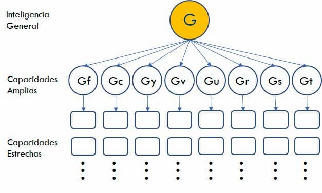 El Modelo de Inteligencia de Cattell-Horn-Carrol (CHC)